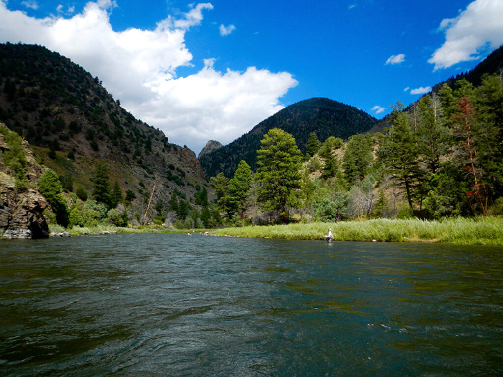 Colorado Gold Waters – Colorado Gold Medal Waters
